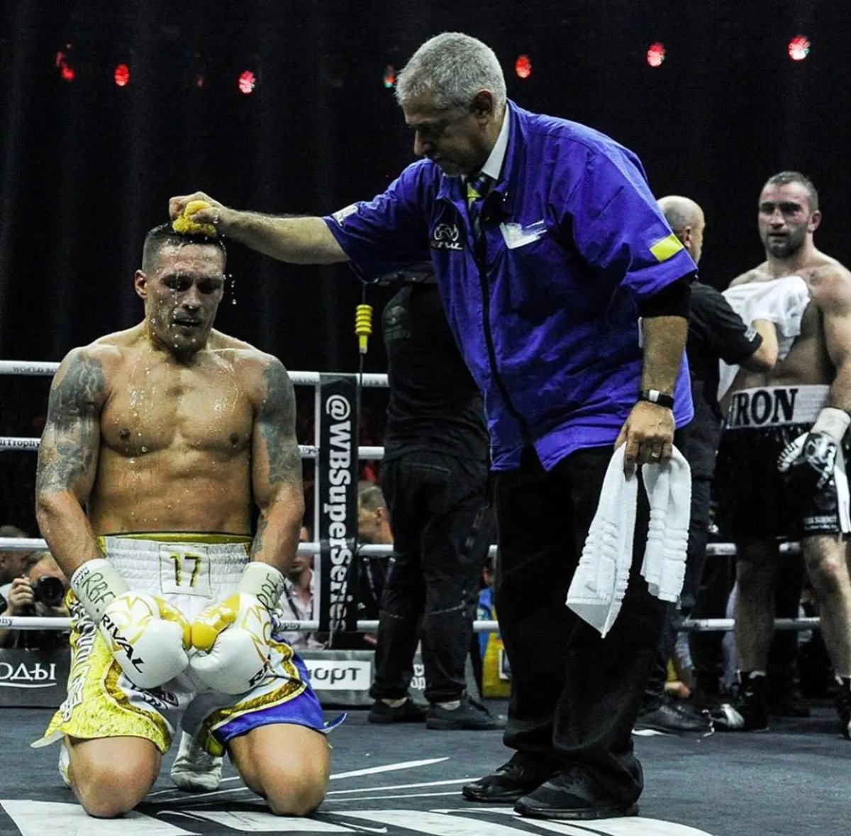 Buy Boxing Competition Gloves – Forza Sports