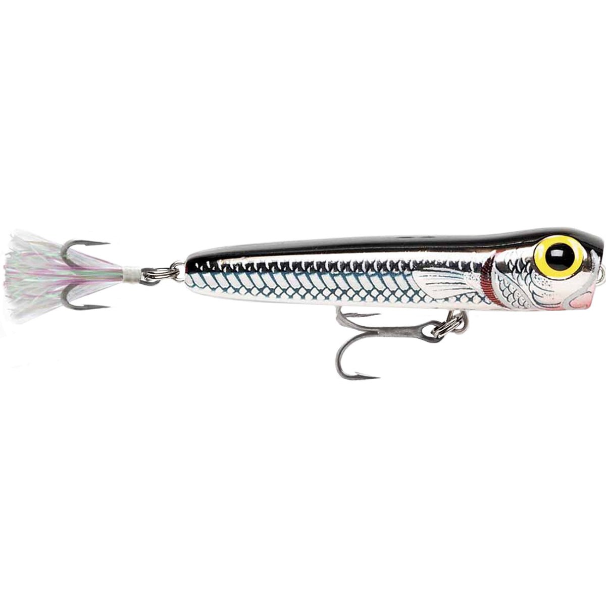 Storm Rattlin' Saltwater Chug Bug 08 Fishing Lure – Forza Sports