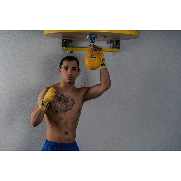 Shop Speed Bags for Boxing & MMA Online – Forza Sports